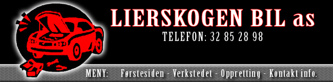 Lierskogen Bil as